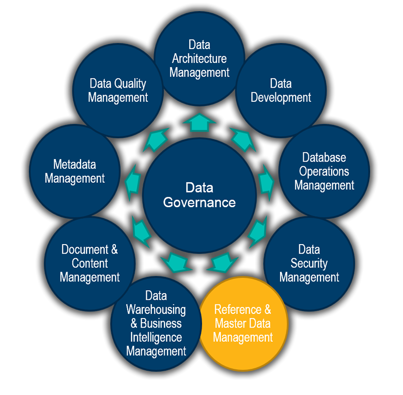 The Economist What Is Master Data Management